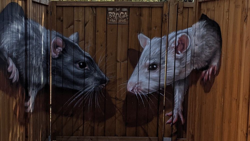 Mad Maze : le parc de loisirs n°1 en sud Ardéche